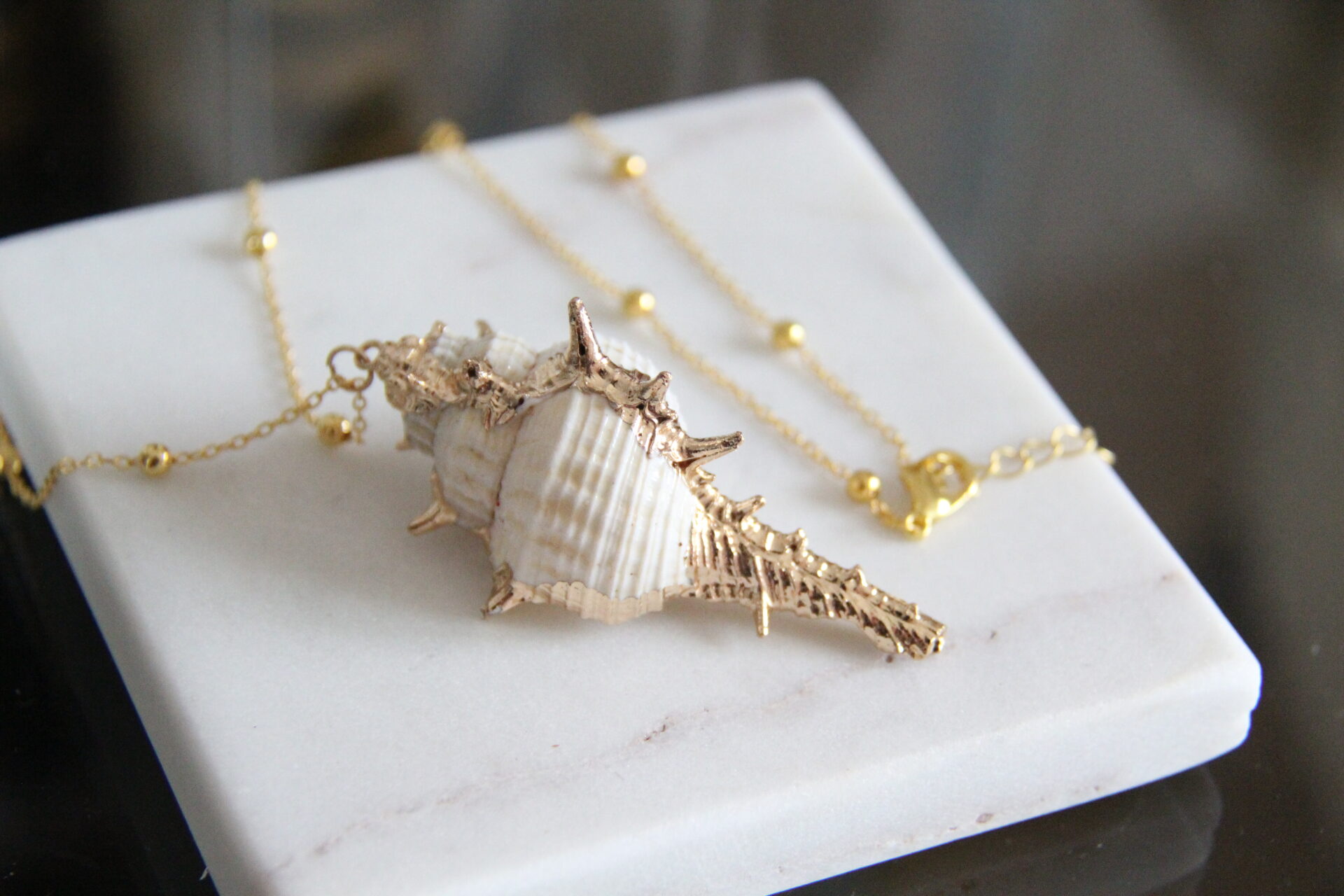 Conch Necklace * Cities and Oceans